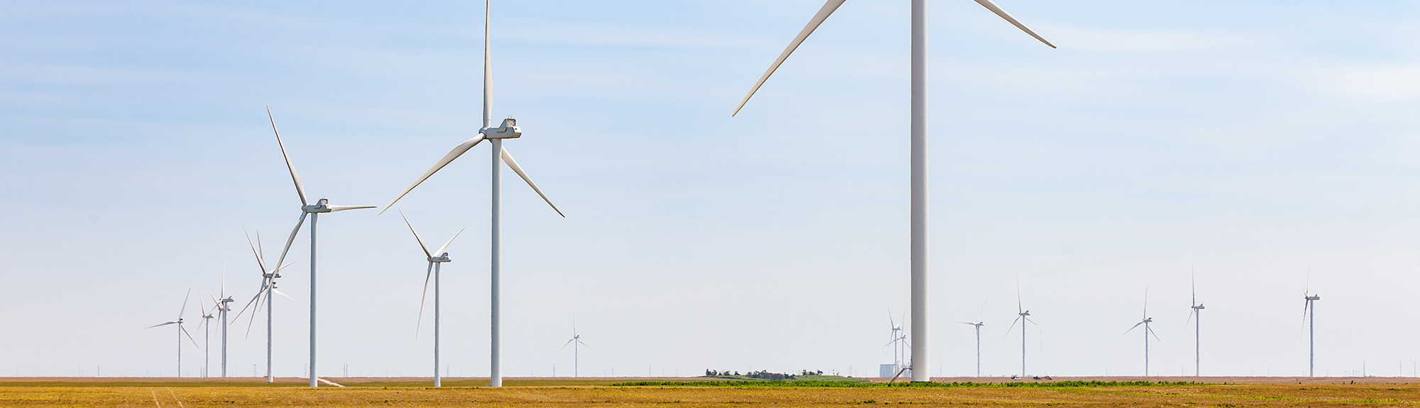 Bloom Wind - Capital Power