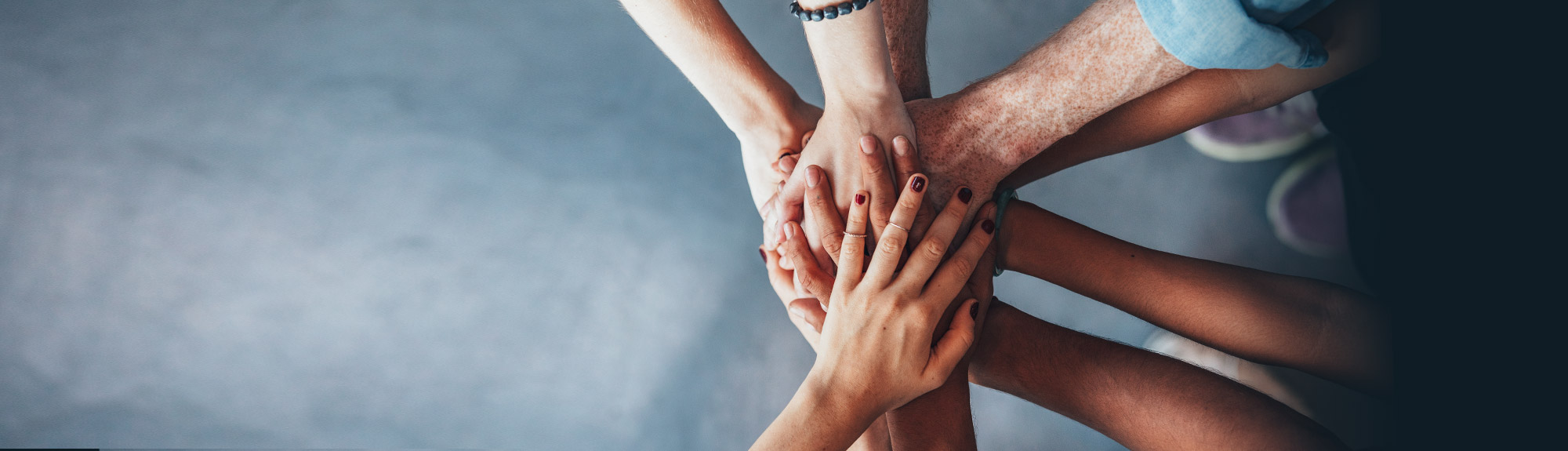 Powered by People: Why HR is an Enabler of Business Success - Capital Power