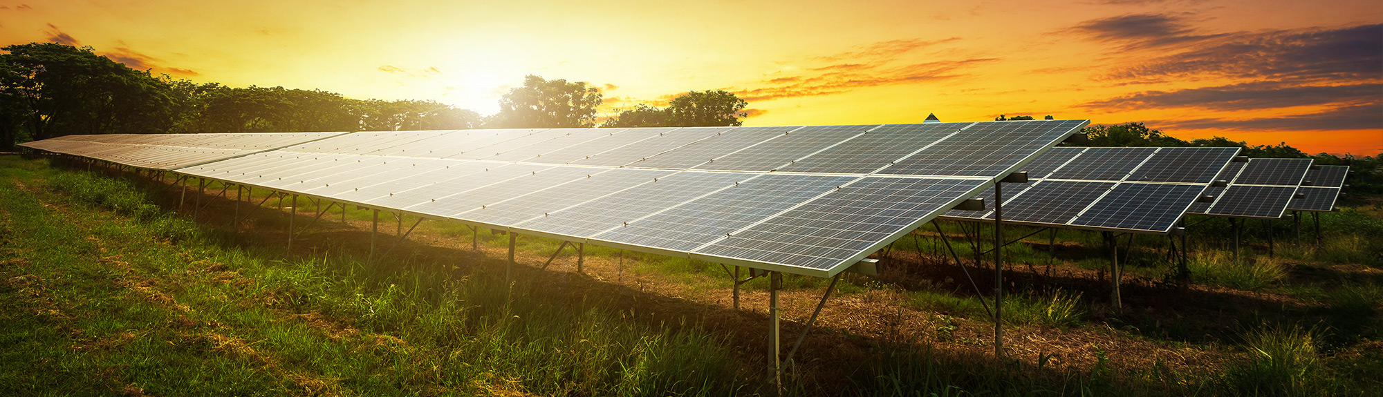 Construction of 40.5-MW Strathmore Solar project underway - Capital Power