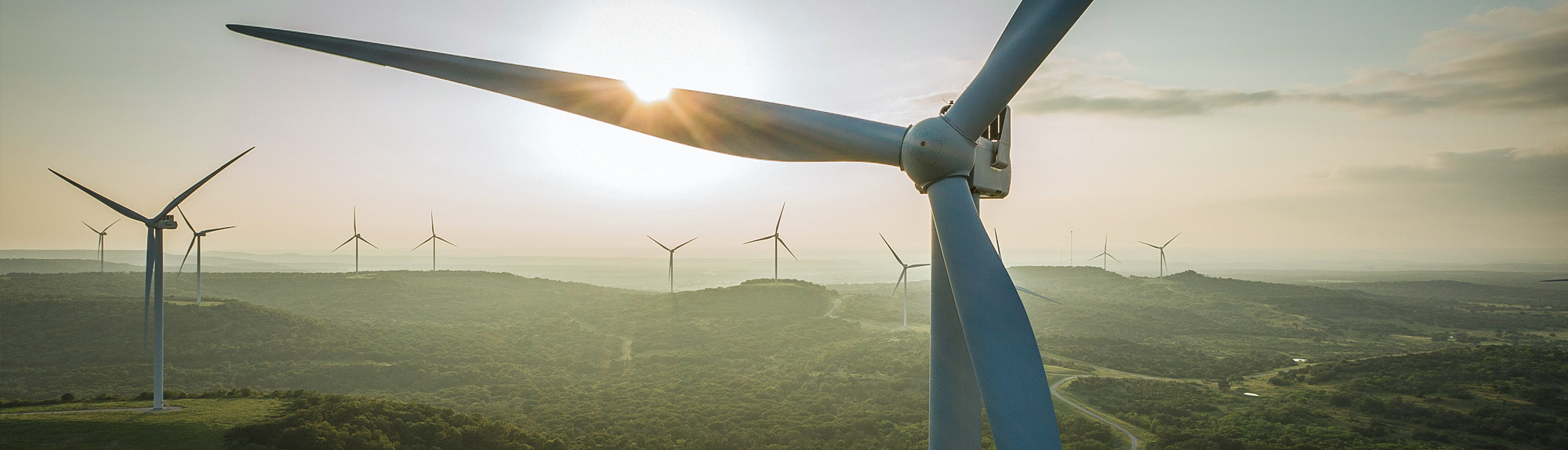 Buckthorn Wind - Capital Power