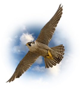 Genesee Generating Station - Capital Power